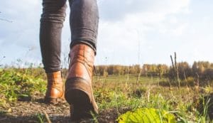 9 Things That Are About 20 Meters (m) Long – dimensionofstuff.com