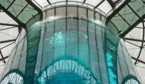 7 Things That Are About 25 Meters (m) long – dimensionofstuff.com