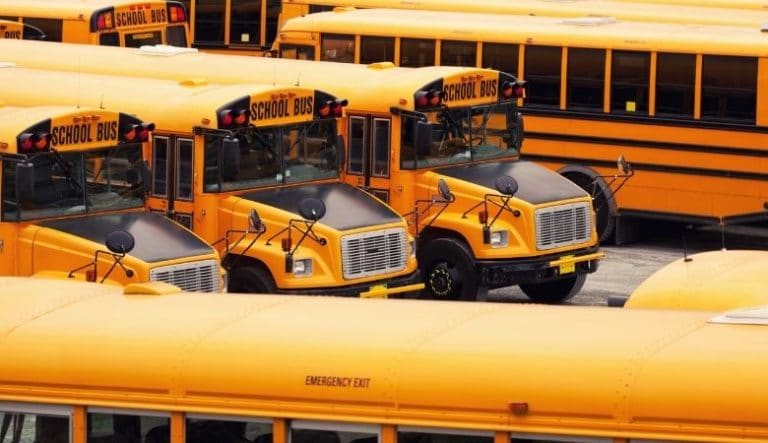 11 Things That Are About 40 Feet (ft) Long – dimensionofstuff.com