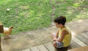 18 Things That Are About 4 Feet (ft) Long/Tall – dimensionofstuff.com