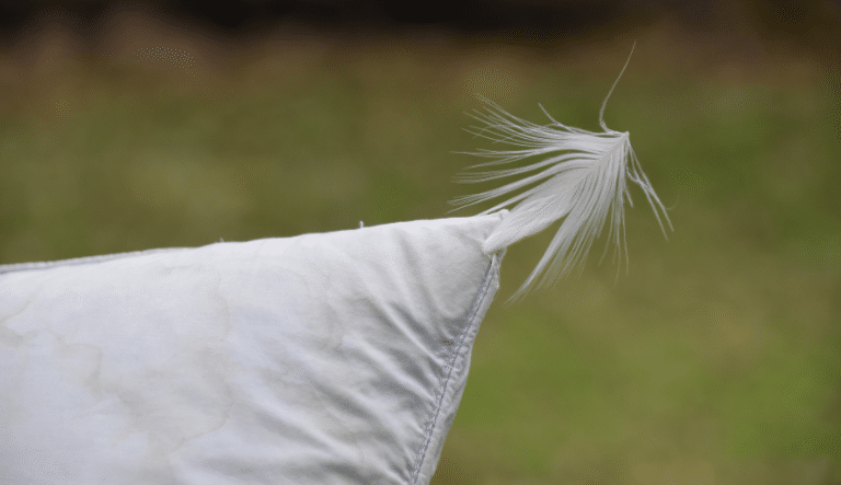 8 Things That Are About 15 Feet (ft) Long – dimensionofstuff.com