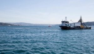 7 Things That Are About 25 Meters (m) long – dimensionofstuff.com