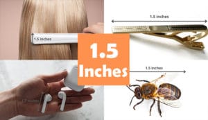 6 Things That Are About 1.5 Inches (in) Long – dimensionofstuff.com