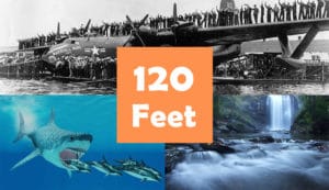 6 Things That Are About 120 Feet (ft) Long – dimensionofstuff.com