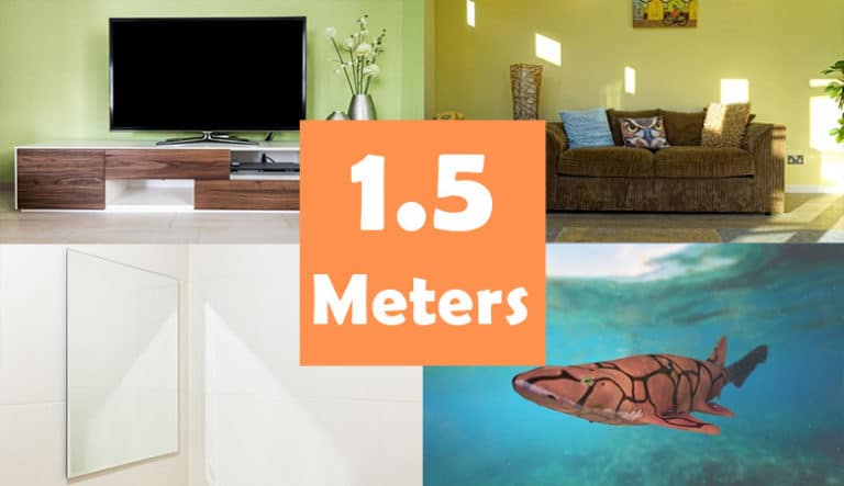 11 Things That Are About 1.5 Meters (m) Long – dimensionofstuff.com