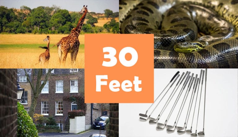 11 Things That Are About 30 Feet (ft) Long