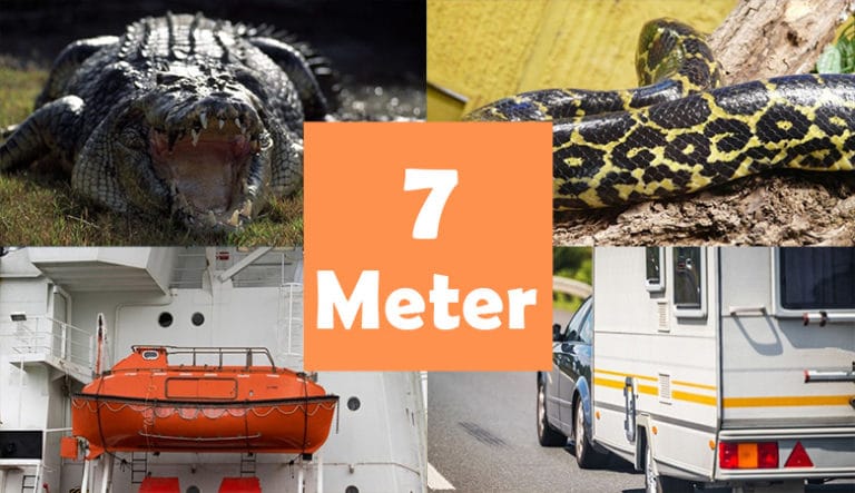 7 Things That Are About 7 Meters (m) Long – dimensionofstuff.com