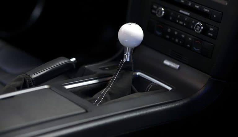 12 Things That Are 9 Inches (in) Long