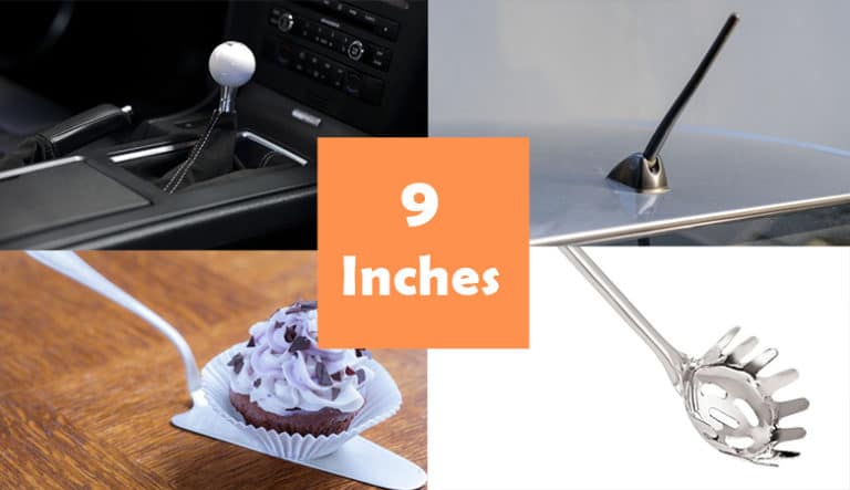 12 Things That Are 9 Inches (in) Long
