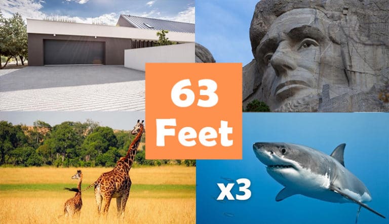 11 Things That Are About 63 Feet (ft) Long – dimensionofstuff.com