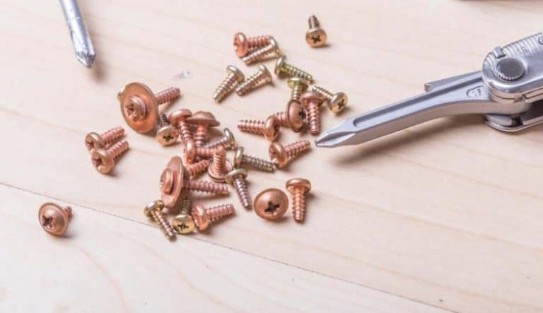 13 Things That Are About 2 Millimeters (mm) Long/Wide