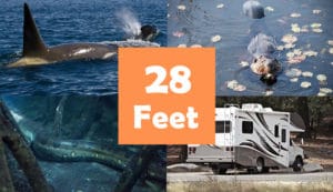 7 Things That Are About 28 Feet (ft) Long – dimensionofstuff.com