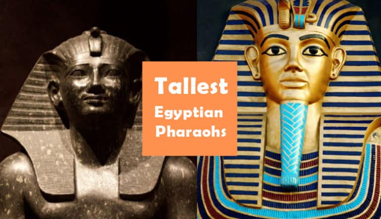 The 8 Tallest Egyptian Pharaohs/Kings