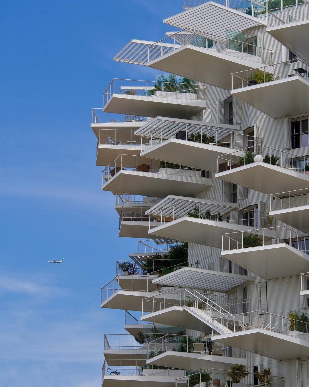 Timber Giants: Exploring the World's Tallest Wooden Buildings